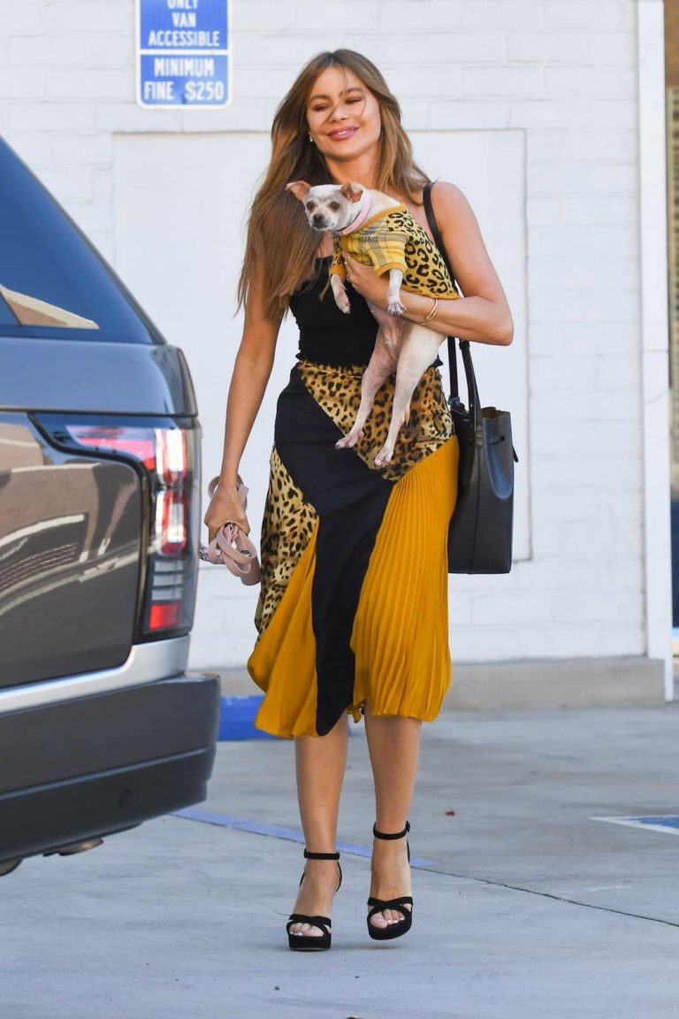 Sofia Vergara in a Leopard Print Dress Was Seen Out with Her Dog in Los ...