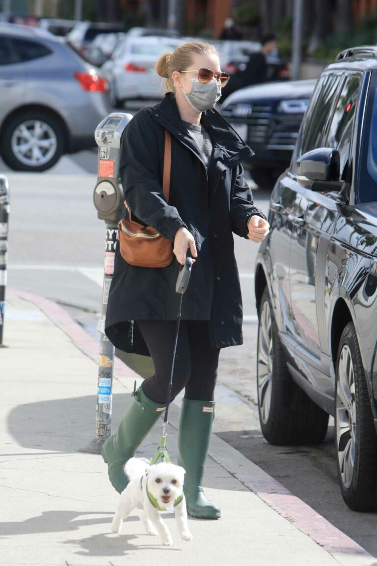 Amy Adams in a Green Rubber Boots Takes Her Dogs Out for a Walk in Los ...