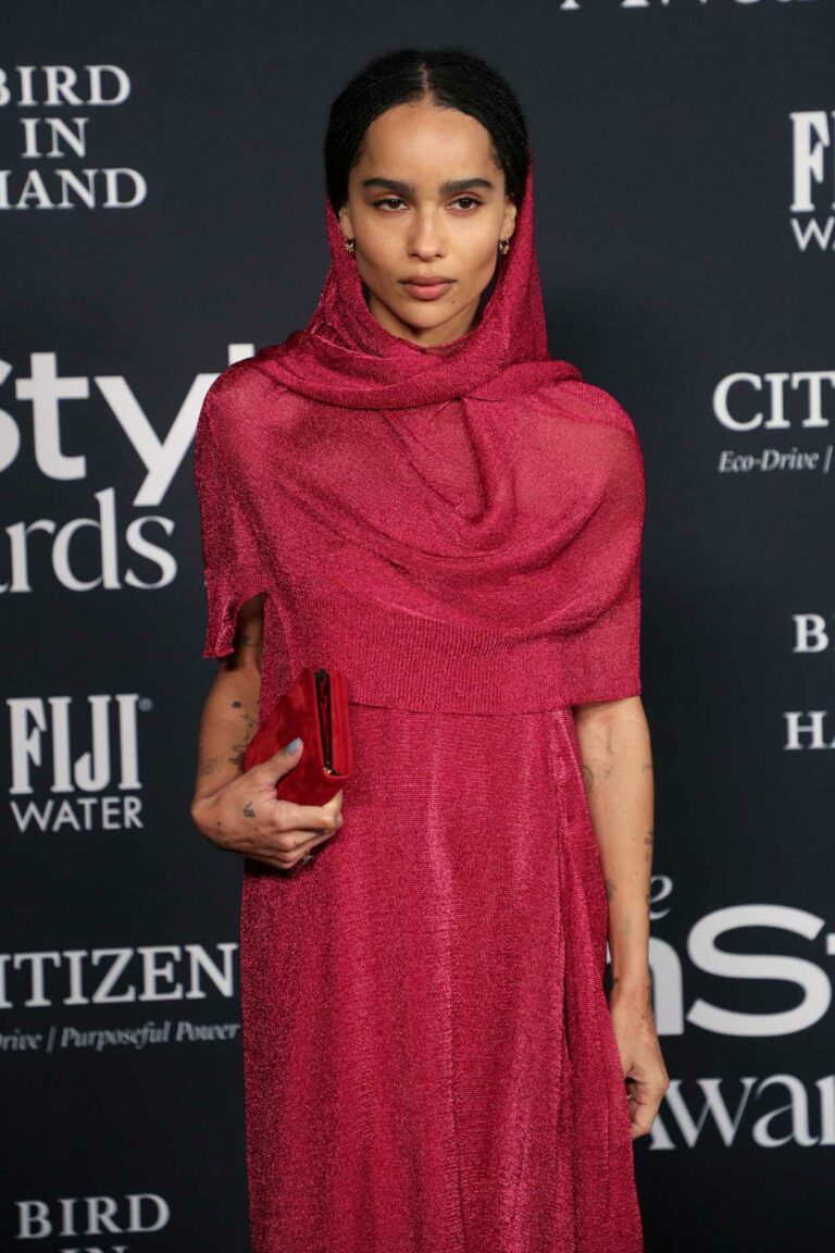 Zoe Kravitz Attends the 6th Annual InStyle Awards in Los Angeles 11/15 ...